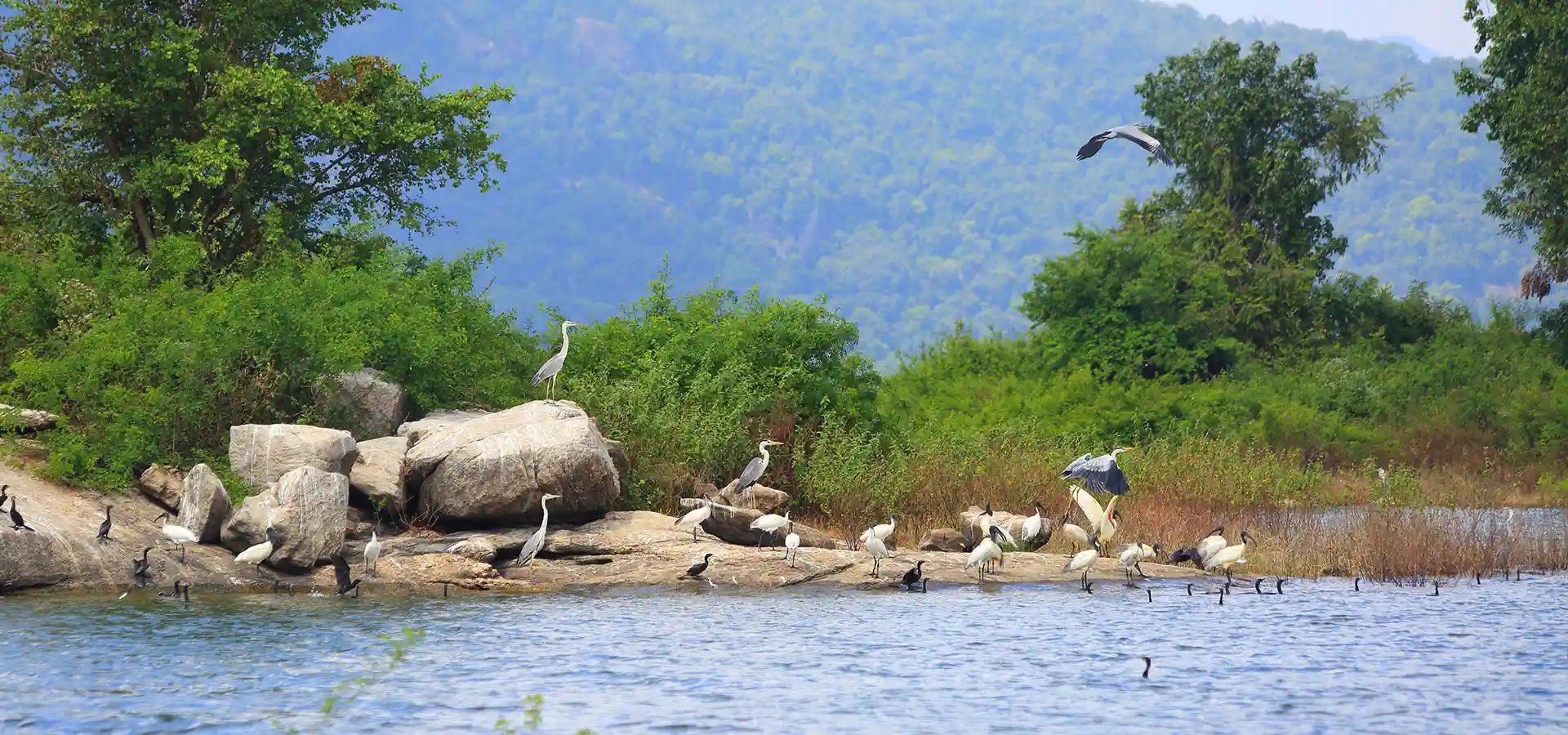 Monaragala, Sri Lanka – Nature, Culture & Rural Charm | Look Lanka Tours
