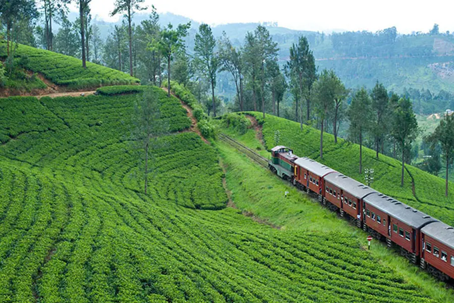 Sri Lanka Train Ride Guide 2026 | Best Routes, Tickets & Tips